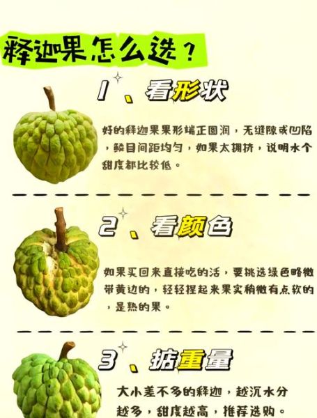 释迦果怎么吃_释迦果怎么挑-第1张图片-山城妙识