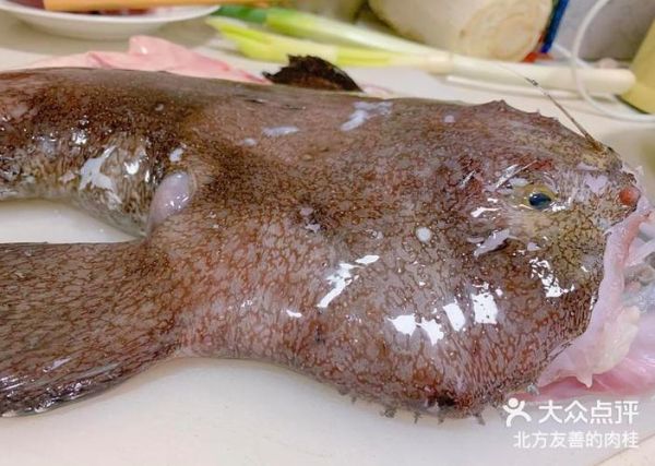 酱焖安康鱼怎么做_安康鱼去腥技巧-第2张图片-山城妙识