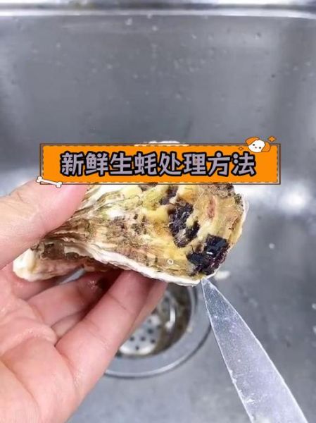 生蚝怎么清理内脏_生蚝内脏清理视频教程-第2张图片-山城妙识 生蚝怎么清理内脏_生蚝内脏清理视频教程-第2张图片-山城妙识