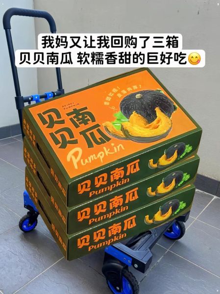 南瓜粉多少钱一斤_南瓜粉价格为什么差距大-第1张图片-山城妙识 南瓜粉多少钱一斤_南瓜粉价格为什么差距大-第1张图片-山城妙识