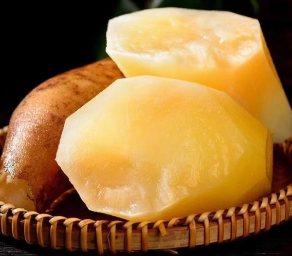 野生雪莲子长什么样_野生雪莲子外观特征-第1张图片-山城妙识 野生雪莲子长什么样_野生雪莲子外观特征-第1张图片-山城妙识