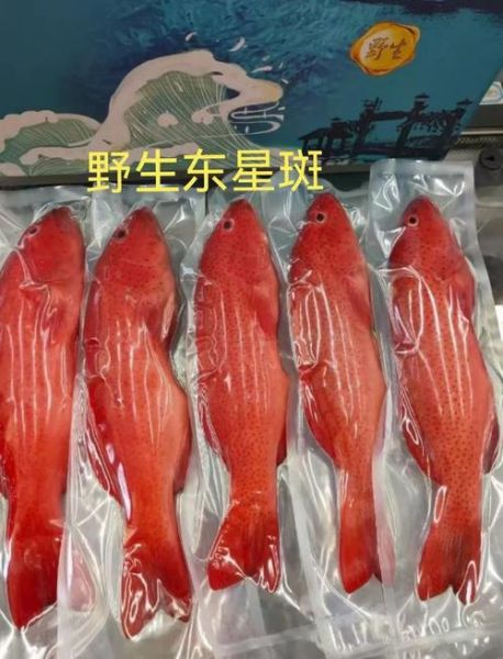 常见的深海鱼有哪些_深海鱼营养价值高吗-第3张图片-山城妙识 常见的深海鱼有哪些_深海鱼营养价值高吗-第3张图片-山城妙识