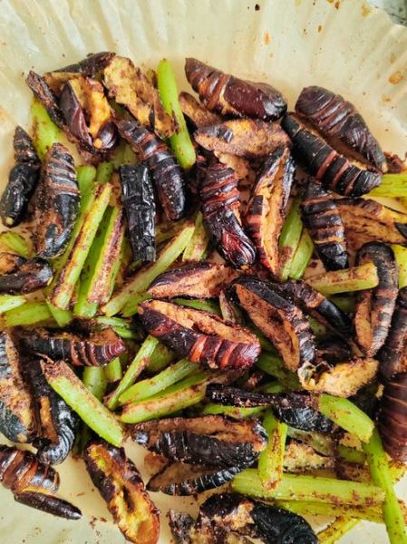 干煸蚕蛹芹菜怎么做_干煸蚕蛹芹菜的做法窍门-第2张图片-山城妙识