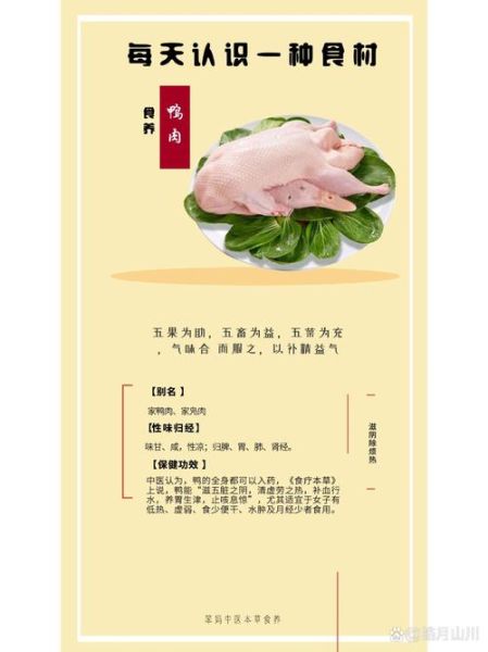 鸭肉什么人不能吃_鸭肉禁忌人群有哪些-第3张图片-山城妙识