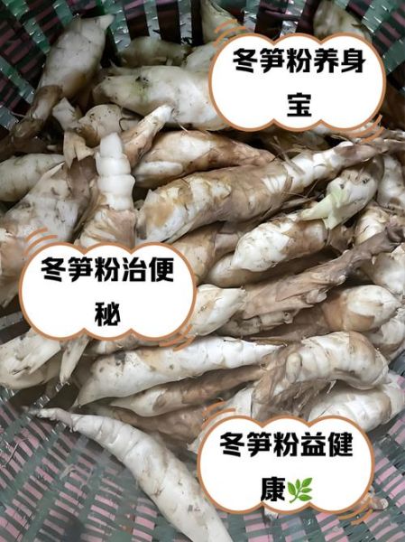 芦笋粉的功效与作用_芦笋粉的禁忌有哪些-第1张图片-山城妙识