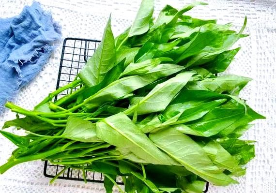空心菜吃多了会抽筋吗_空心菜抽筋真相-第2张图片-山城妙识