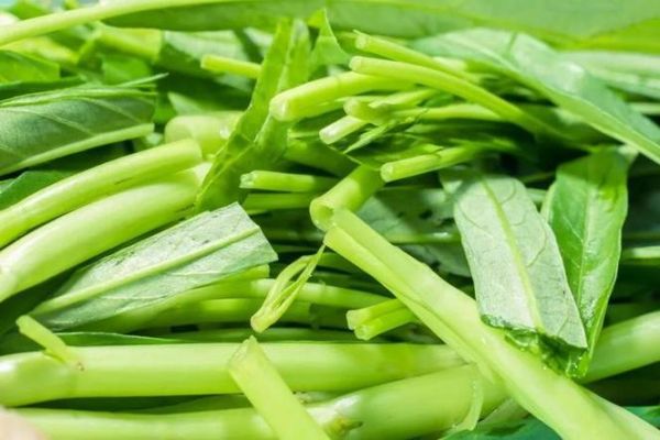 空心菜吃多了会抽筋吗_空心菜抽筋真相-第3张图片-山城妙识