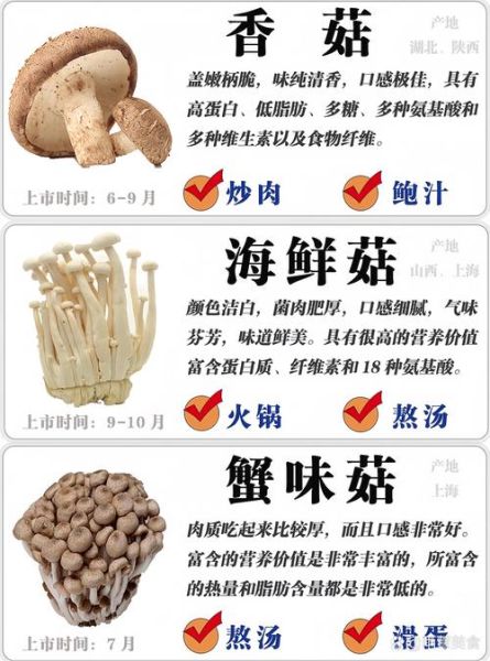 蘑菇种类大全图_哪些蘑菇可食用-第1张图片-山城妙识