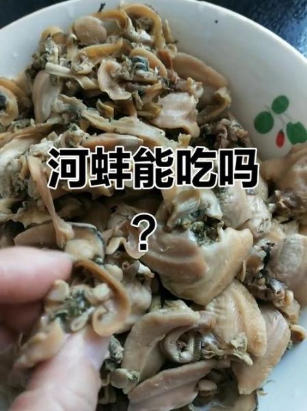 河蚌肉哪里能吃图解_河蚌哪些部位不能吃-第3张图片-山城妙识