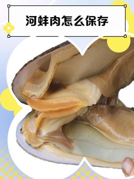 河蚌肉哪里能吃图解_河蚌哪些部位不能吃-第1张图片-山城妙识