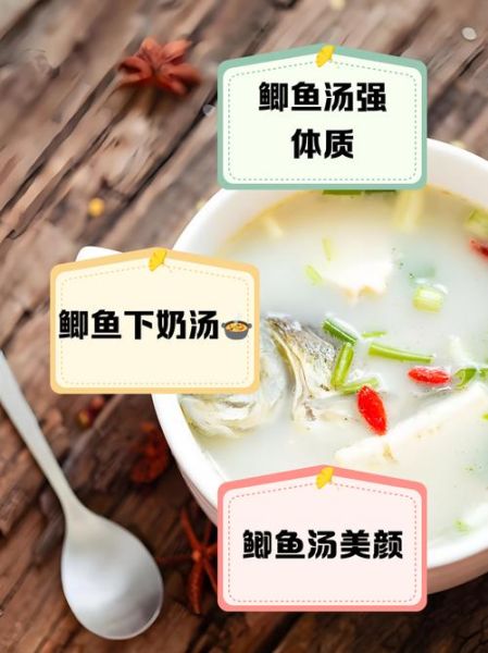 鲫鱼汤有什么功效_鲫鱼汤怎么炖最下奶-第3张图片-山城妙识 鲫鱼汤有什么功效_鲫鱼汤怎么炖最下奶-第3张图片-山城妙识
