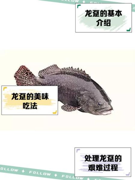 龙趸鱼的营养价值及功效_龙趸鱼适合什么人吃-第1张图片-山城妙识
