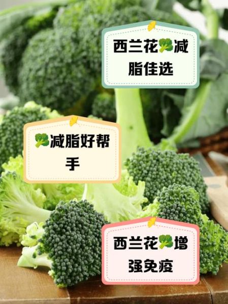 西兰花有什么营养价值_西兰花的功效与作用-第1张图片-山城妙识 西兰花有什么营养价值_西兰花的功效与作用-第1张图片-山城妙识