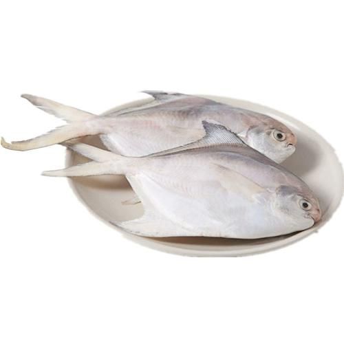 平鱼多少钱一斤_平鱼价格行情-第1张图片-山城妙识