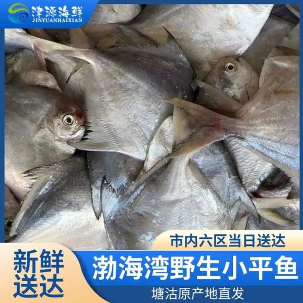 平鱼多少钱一斤_平鱼价格行情-第3张图片-山城妙识