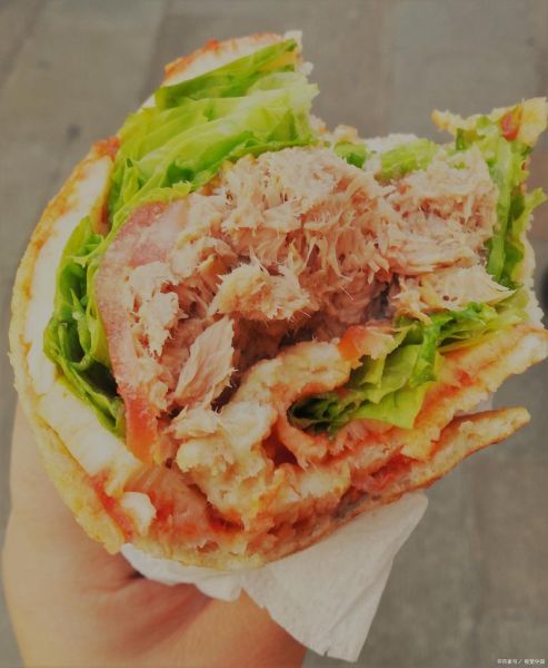 手抓饼夹什么好吃_经典搭配推荐-第1张图片-山城妙识 手抓饼夹什么好吃_经典搭配推荐-第1张图片-山城妙识