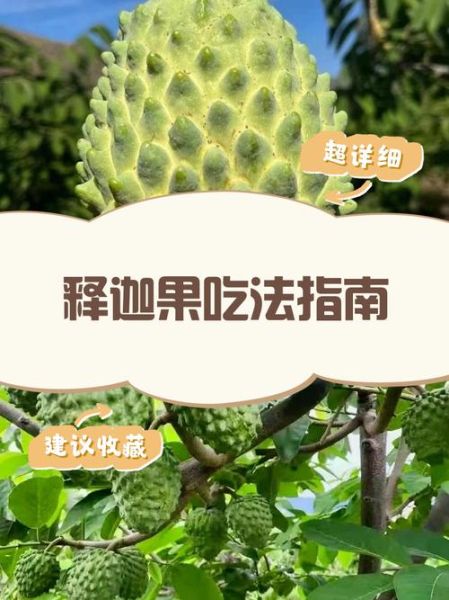 释迦怎么吃_释迦的正确吃法图解-第1张图片-山城妙识