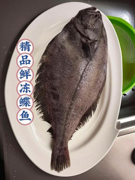 大菱鲆鱼怎么做好吃_大菱鲆鱼多少钱一斤-第1张图片-山城妙识