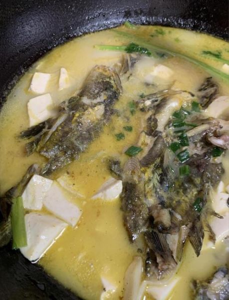 黄骨鱼炖汤怎么做_黄骨鱼炖汤需要焯水吗-第1张图片-山城妙识