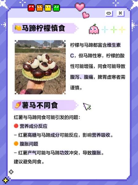 马蹄和什么相克_马蹄不能和什么一起吃-第2张图片-山城妙识