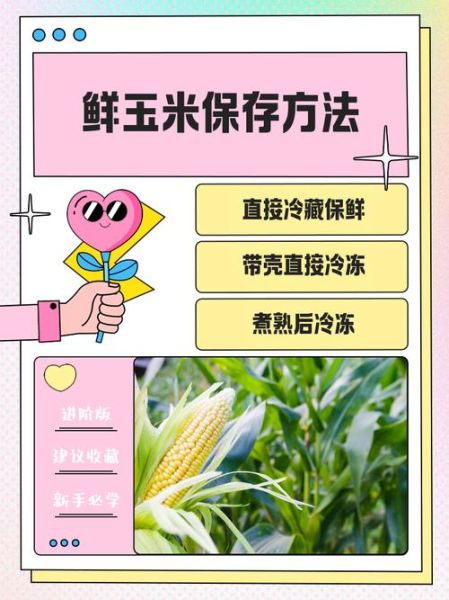 鲜玉米可以直接冷冻保存吗_冷冻鲜玉米的正确方法-第1张图片-山城妙识 鲜玉米可以直接冷冻保存吗_冷冻鲜玉米的正确方法-第1张图片-山城妙识