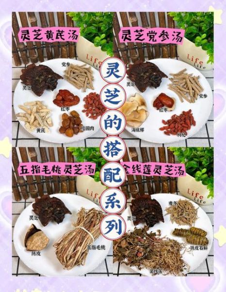 灵芝煲汤做法大全_灵芝煲汤怎么搭配食材-第1张图片-山城妙识 灵芝煲汤做法大全_灵芝煲汤怎么搭配食材-第1张图片-山城妙识