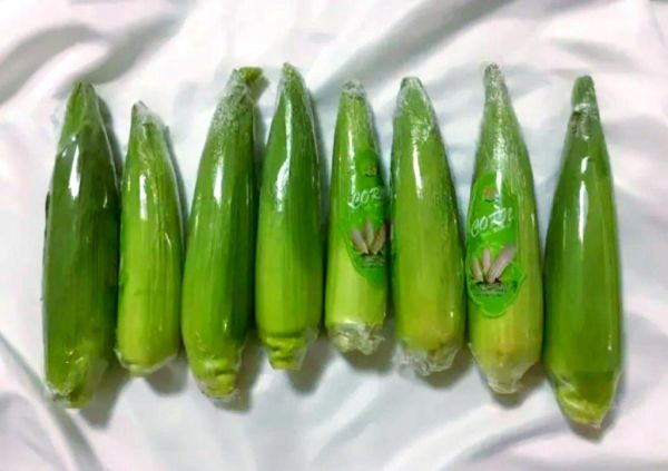 鲜玉米可以直接冷冻保存吗_冷冻鲜玉米的正确方法-第3张图片-山城妙识 鲜玉米可以直接冷冻保存吗_冷冻鲜玉米的正确方法-第3张图片-山城妙识