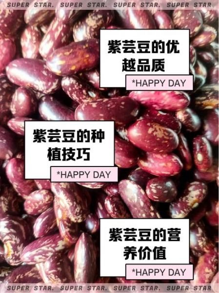 紫芸豆的功效与作用_紫芸豆怎么吃最营养-第2张图片-山城妙识