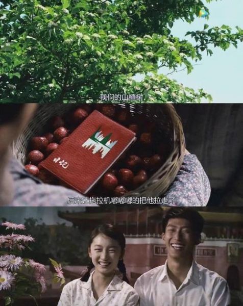 山楂树之恋原型_老三真实结局-第2张图片-山城妙识