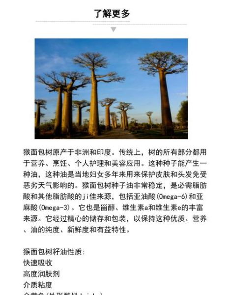 面包树网盘怎么用_面包树网盘安全吗-第3张图片-山城妙识