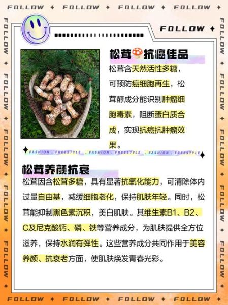 女性吃松茸有什么好处_女人吃松茸的功效与作用-第3张图片-山城妙识