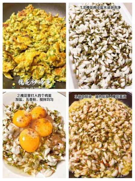 洋槐花炒鸡蛋的功效_洋槐花炒鸡蛋有什么营养价值-第2张图片-山城妙识 洋槐花炒鸡蛋的功效_洋槐花炒鸡蛋有什么营养价值-第2张图片-山城妙识