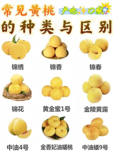 新鲜水果图片大全_如何挑选当季水果-第2张图片-山城妙识