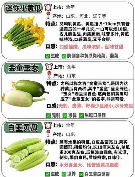 黄瓜有几种_黄瓜品种大全-第3张图片-山城妙识