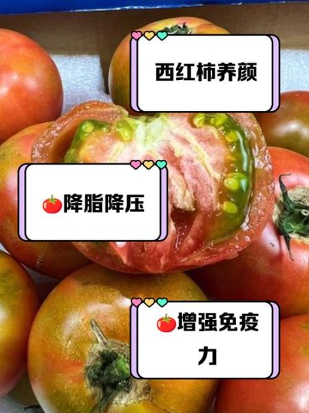 铁皮西红柿营养价值_铁皮西红柿和普通西红柿区别-第1张图片-山城妙识