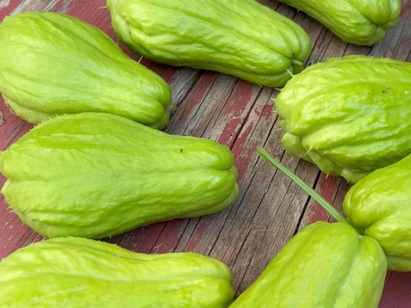 凉拌佛手瓜要削皮吗_佛手瓜皮能吃吗-第2张图片-山城妙识