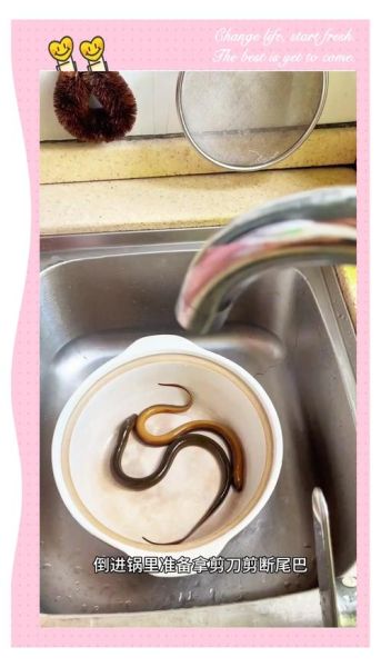 野生黄鳝怎么做好吃_野生黄鳝做法大全-第2张图片-山城妙识