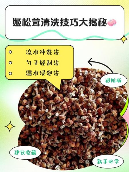 新鲜松茸怎么清洗_新鲜松茸怎么做最好吃-第2张图片-山城妙识