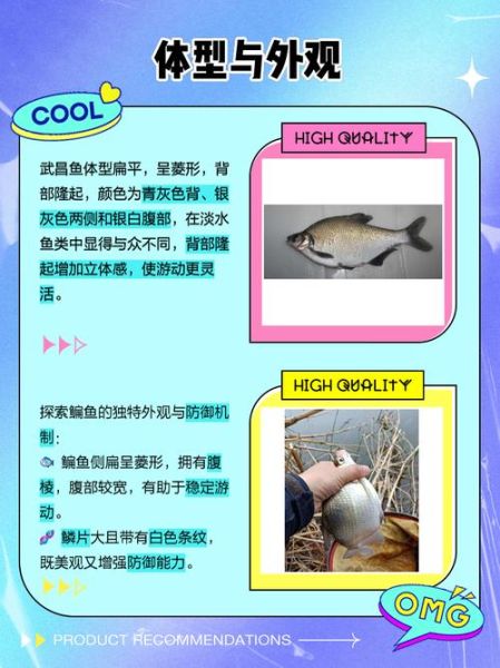 武昌鱼和鳊鱼口感区别_哪个更好吃-第1张图片-山城妙识