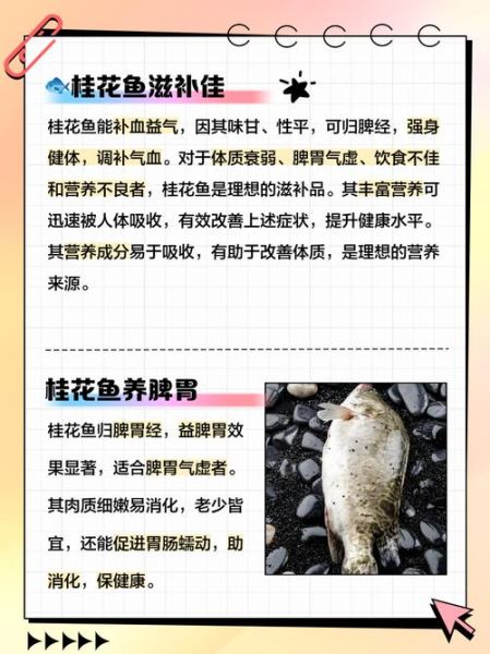 冰冻桂鱼怎么做好吃_冰冻桂鱼的家常做法-第3张图片-山城妙识