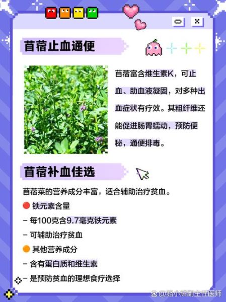 苜蓿菜图片功效_苜蓿菜有什么营养价值-第2张图片-山城妙识 苜蓿菜图片功效_苜蓿菜有什么营养价值-第2张图片-山城妙识