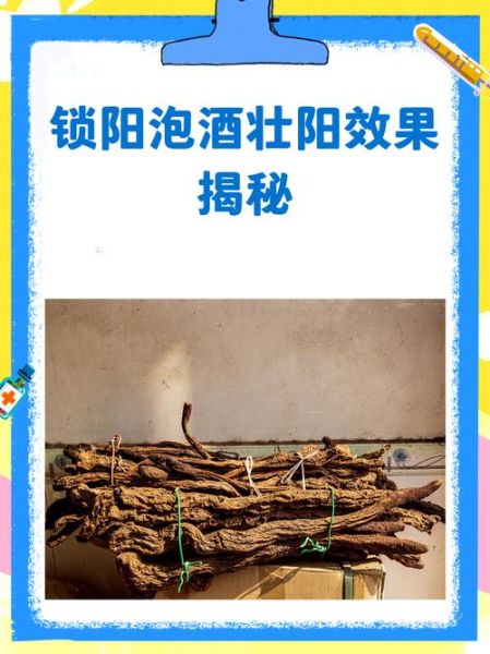 锁阳泡水壮阳效果怎样_锁阳泡水多久见效-第2张图片-山城妙识