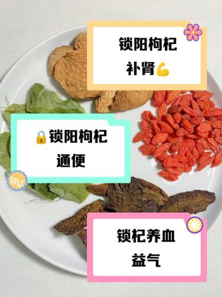 锁阳泡水壮阳效果怎样_锁阳泡水多久见效-第1张图片-山城妙识