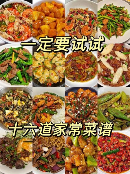 家庭实用菜谱大全完美版下载_如何快速找到无广告版本-第1张图片-山城妙识