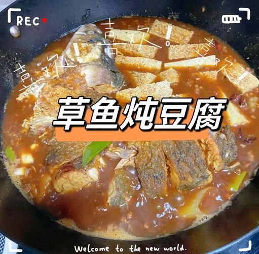 鱼炖豆腐怎么做好吃_鱼炖豆腐的家常做法-第1张图片-山城妙识