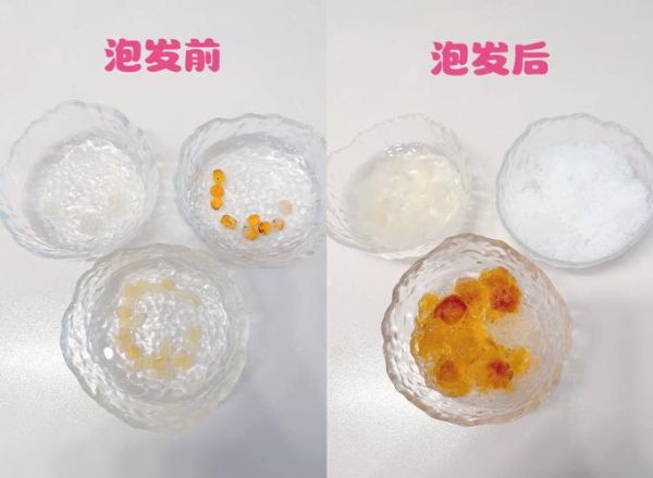 皂角米怎么煮_皂角米泡发多久-第1张图片-山城妙识