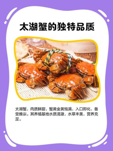 太湖大闸蟹什么时候上市_正宗太湖蟹几月最肥-第1张图片-山城妙识
