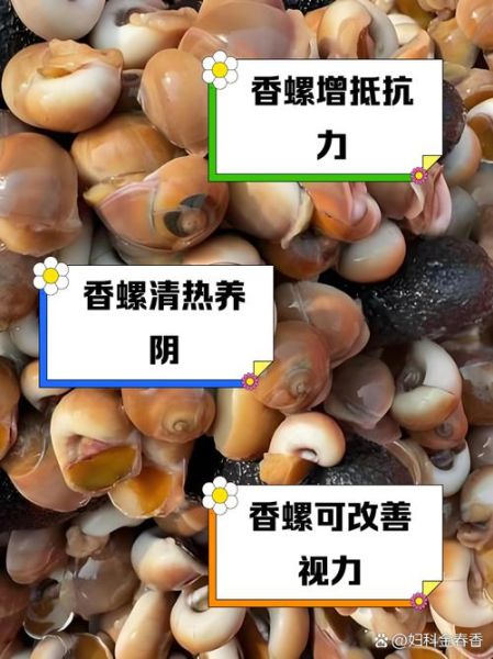 香螺的营养价值_香螺的功效与作用-第1张图片-山城妙识