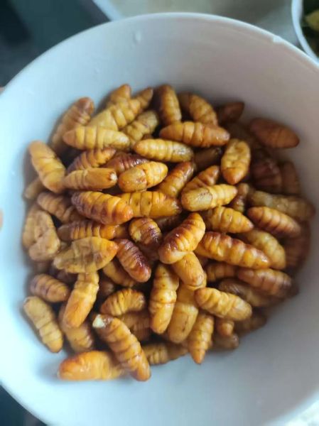 炒蚕蛹怎么炒才酥脆_蚕蛹炒之前要不要焯水-第2张图片-山城妙识