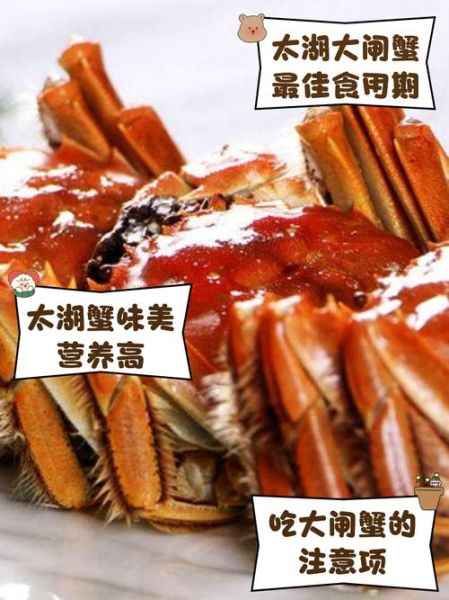 太湖大闸蟹什么时候上市_正宗太湖蟹几月最肥-第2张图片-山城妙识